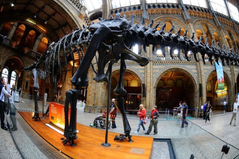 London: Guided Tour of the Natural History Museum - FAQ: Your Questions Answered