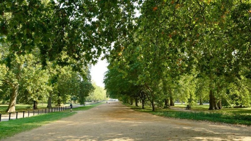 London: Hop-On Hop-Off Pass with Thames River Cruise 24 Hrs - Final Thoughts