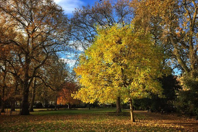 London Literary Private Walking Tour Of Bloomsbury - Exploring Bloomsbury: An In-Depth Review