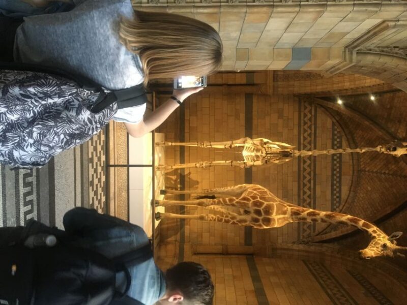 London: Natural History Museum Entry Ticket and Guided Tour - An In-Depth Look at the Tour