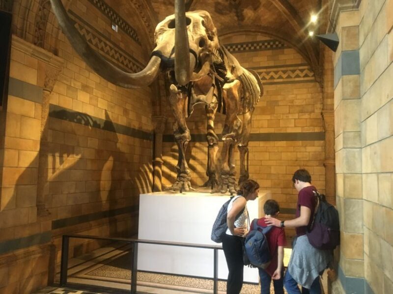 London: Natural History Museum Entry Ticket and Guided Tour - Final Thoughts