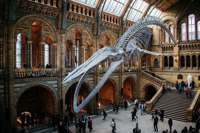 London: Natural History Museum Express Guided Tour & Audio Guide - An In-Depth Look at the Experience