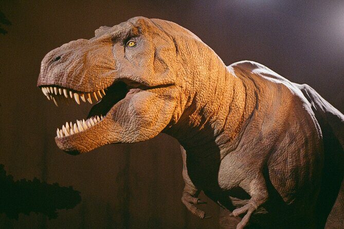 London: Natural History Museum Express Guided Tour & Audio Guide - FAQ