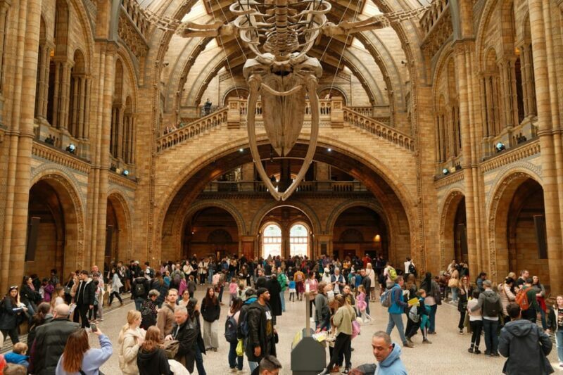 London: Natural History Museum Guided Tour - An In-Depth Look at the Tour Experience