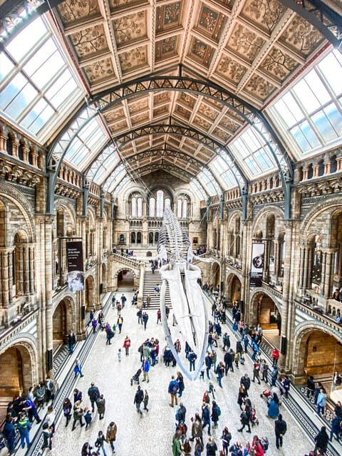 London: Natural History Museum Guided Tour - Final Thoughts