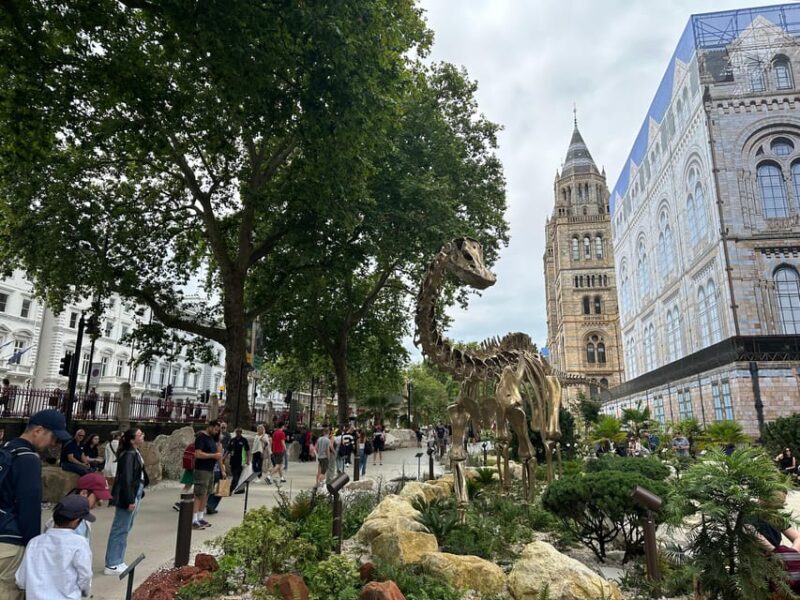 London: Natural History Museum Private Guided Tour - Final Thoughts: Is It Worth It?