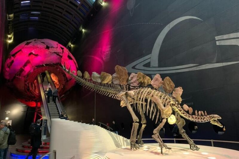 London: Natural History Museum Private Tour & Skip the line - An In-Depth Look at the Experience