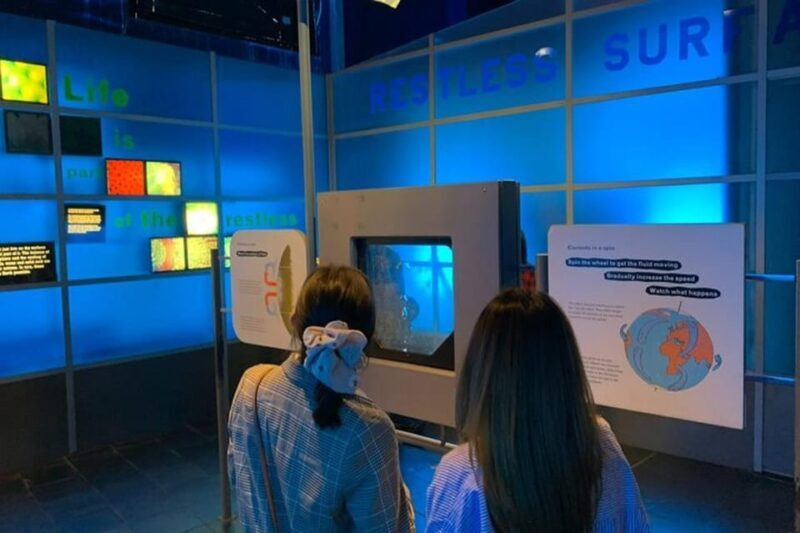 London: Natural History Museum Private Tour & Skip the line - The Sum Up