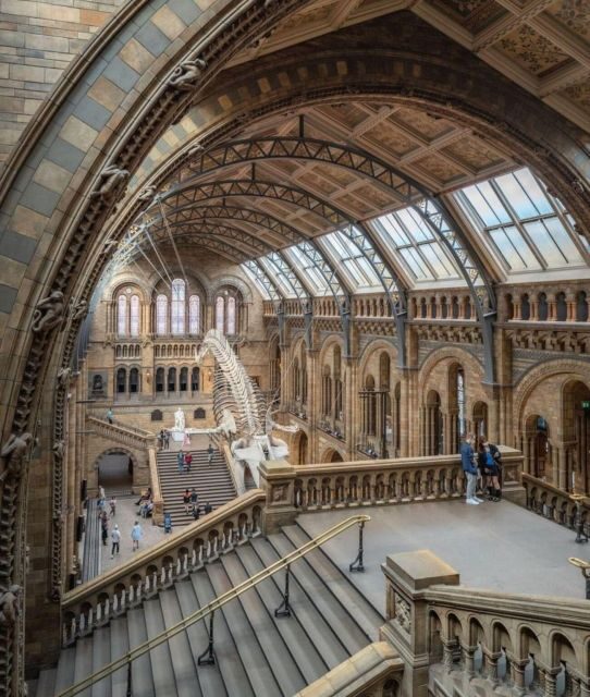 London: Royal Kensington Guided Walking Tour - A Deep Dive into the Experience