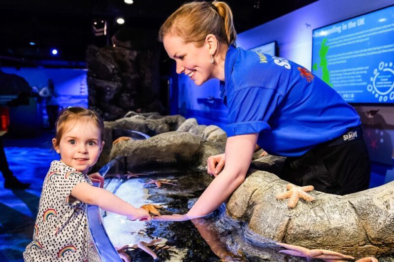 London: SEA LIFE Entry Ticket - Key Points