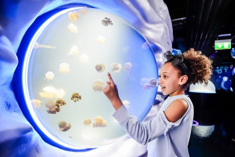 London: SEA LIFE Entry Ticket - What’s on Offer?
