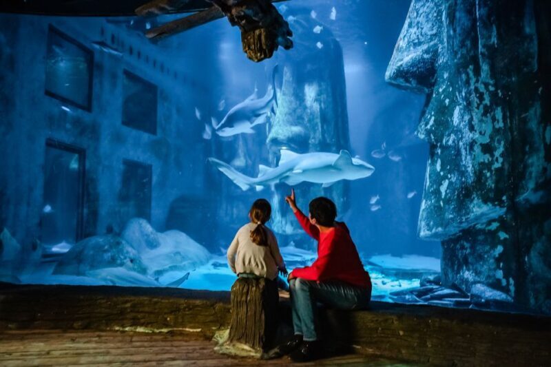 London: SEA LIFE Entry Ticket - Practical Details: Booking, Accessibility, and Costs