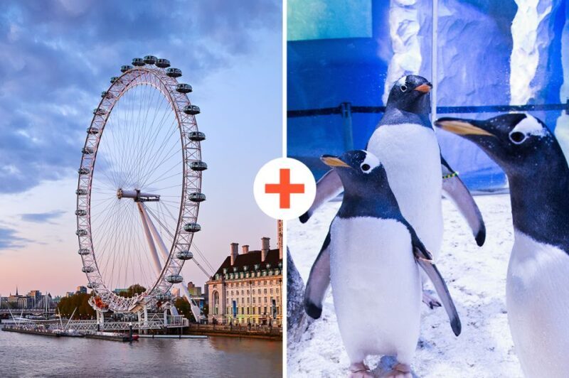 London: SEA LIFE & London Eye Combo Ticket - Introduction
