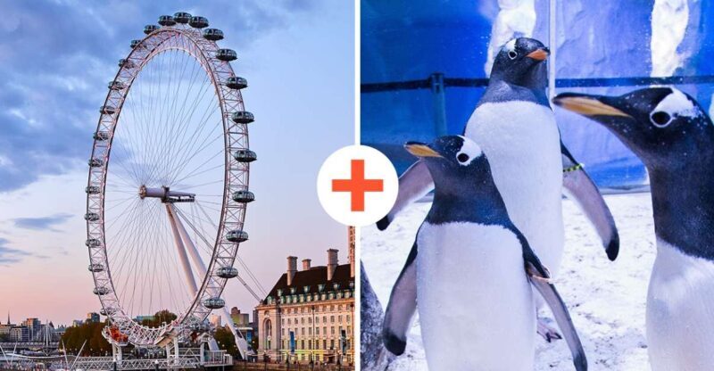 London: SEA LIFE & London Eye Combo Ticket - The Sum Up
