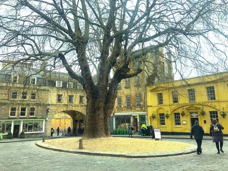 London: Stonehenge, Bath, Windsor, and Roman Baths Day Tour - Practical Details for Travelers