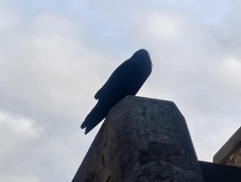 London: Tower of London and Tower Bridge Private Tour - The Sum Up