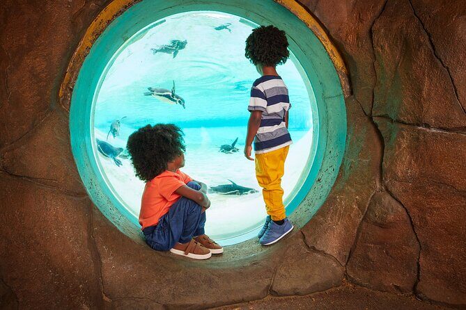 London Zoo Entry Ticket - FAQ: Your Practical Questions Answered