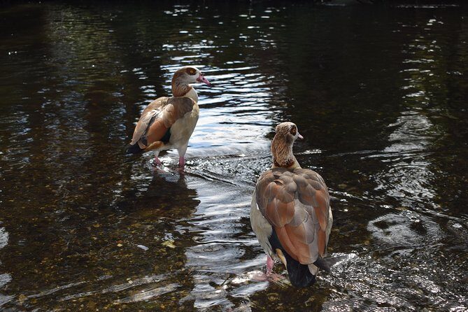 London's Best Kept Secret Bike Tour - Why This Tour Works