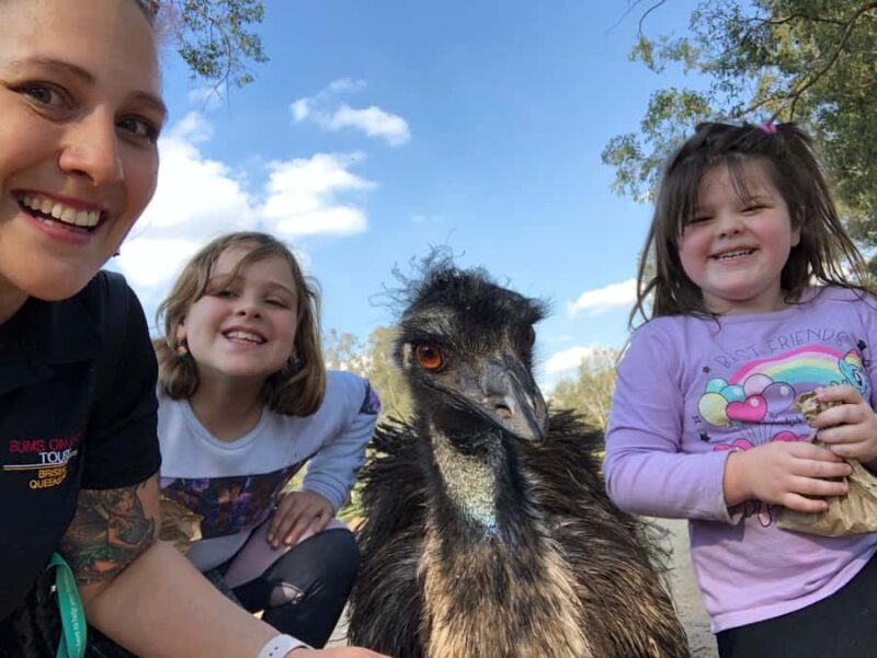 Lone Pine and Brisbane City Highlights - FAQ