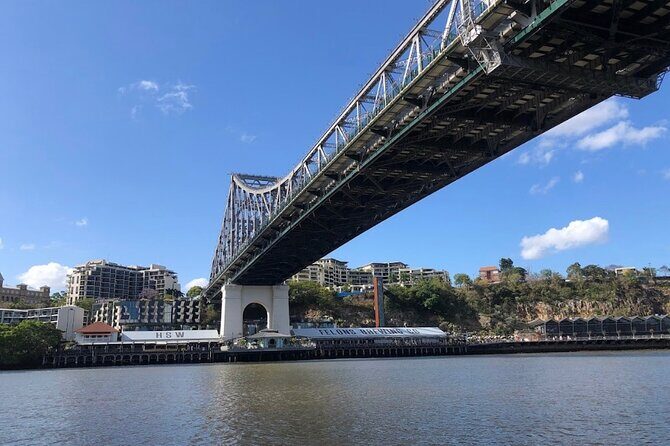 Lone Pine, Brisbane Highlights and Lunch! - The Sum Up