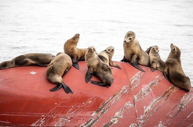 Long Beach Harbor 45-Minute Boat Tour - Who Might Want More?