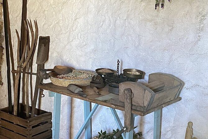 LONGEVITY TOUR: Pasta Class&BlueZone Secrets with Simonetta Bazzu - FAQ