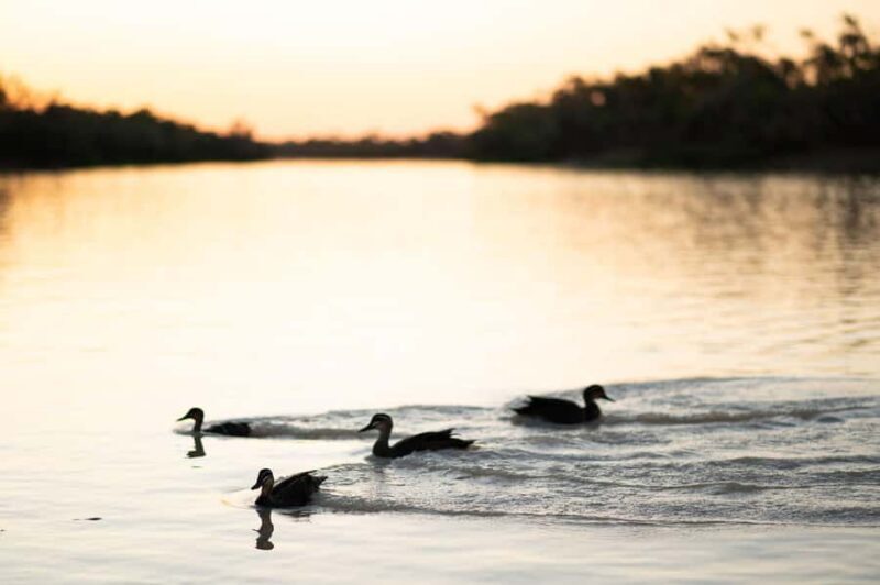 Longreach: Drover's Sunset Cruise & Outback Dinner & Show - FAQs
