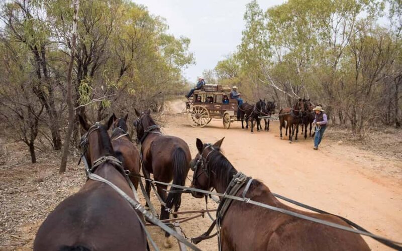 Longreach: Ride on a historic stagecoach on a bush track - An Authentic Outback Adventure: Riding the Historic Stagecoach