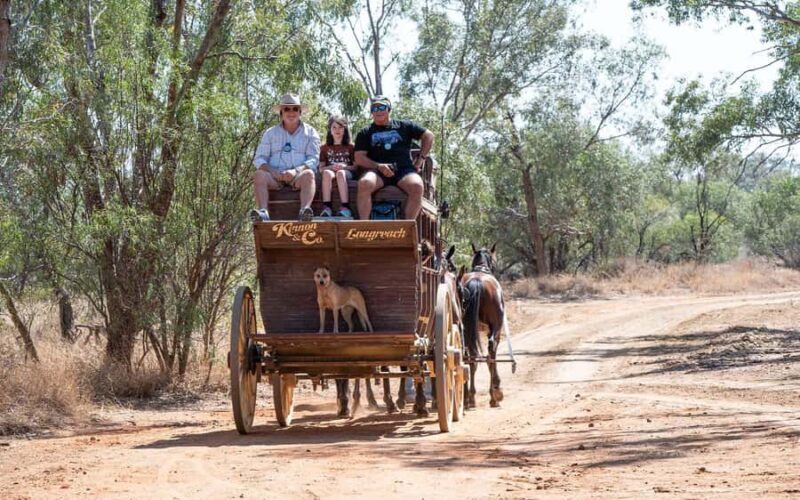 Longreach: Ride on a historic stagecoach on a bush track - The Sum Up: Who Will Love This Tour?