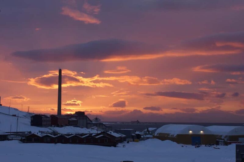Longyearbyen: Arctic Ocean Swim, Sauna & Sightseeing - Key Points