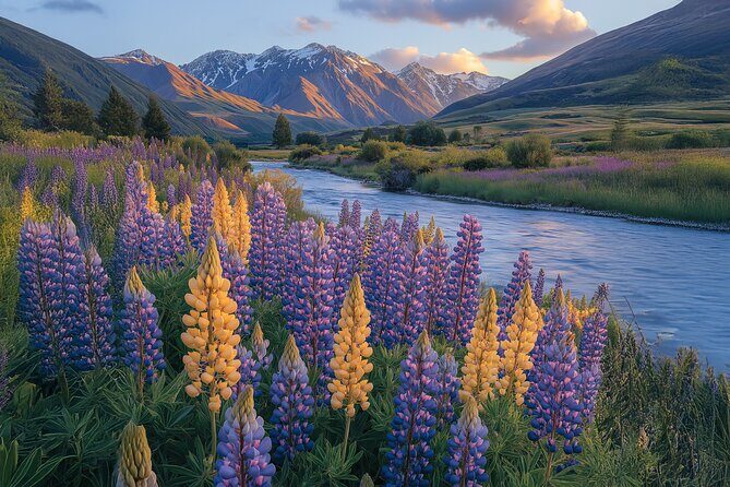 Lord of the Rings Scenic Half Day Tour from Queenstown - Frequently Asked Questions