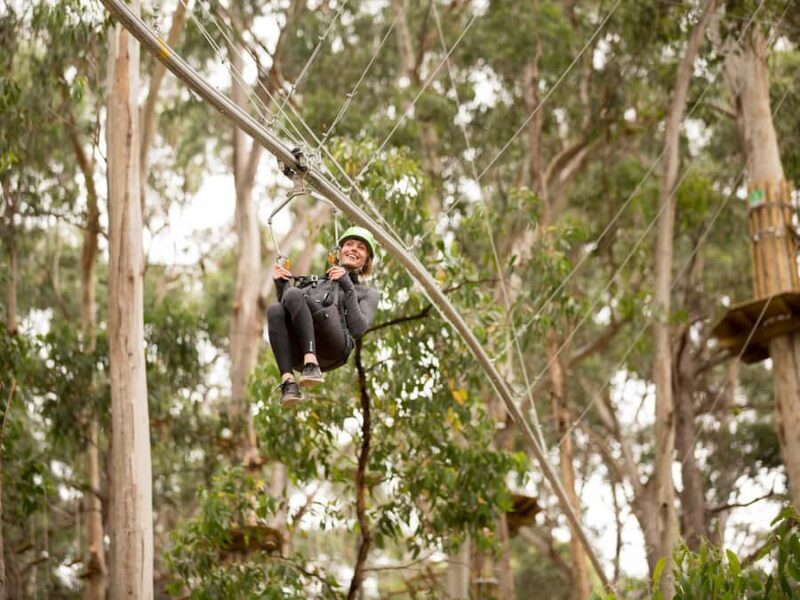 Lorne: Live Wire Park Ticket with Zip Line Rollercoaster - Key Points