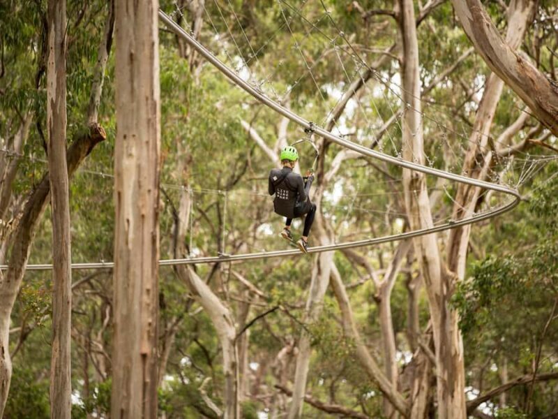 Lorne: Live Wire Park Ticket with Zip Line Rollercoaster - What You Can Expect at Live Wire Park