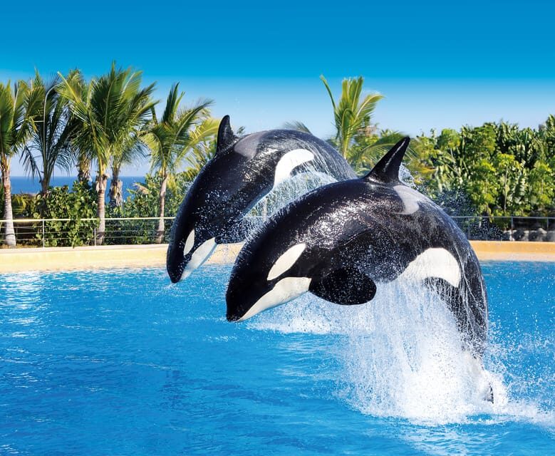 Loro Parque and Siam Park Combined Admission Tickets - Key Points