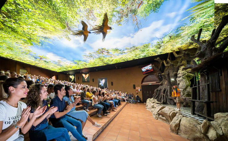 Loro Parque and Siam Park Combined Admission Tickets - Why This Combo Is a Smart Choice