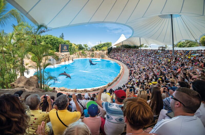 Loro Parque and Siam Park Combined Admission Tickets - Who Will Love This Experience?