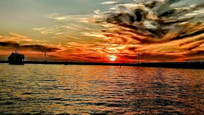 Los Angeles #1: Luxury Boat Cruise-Wine, Cheese & Sea Lions - Key Points