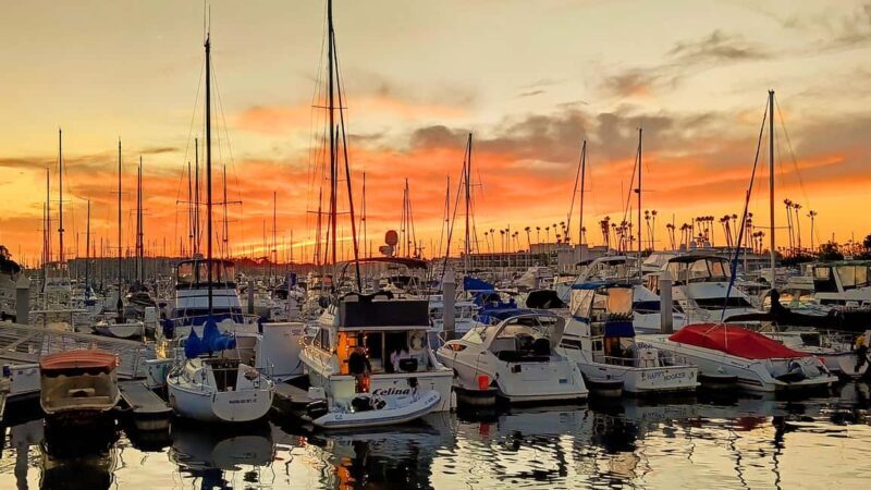 Los Angeles #1: Luxury Boat Cruise-Wine, Cheese & Sea Lions - Who Should Consider This Tour?