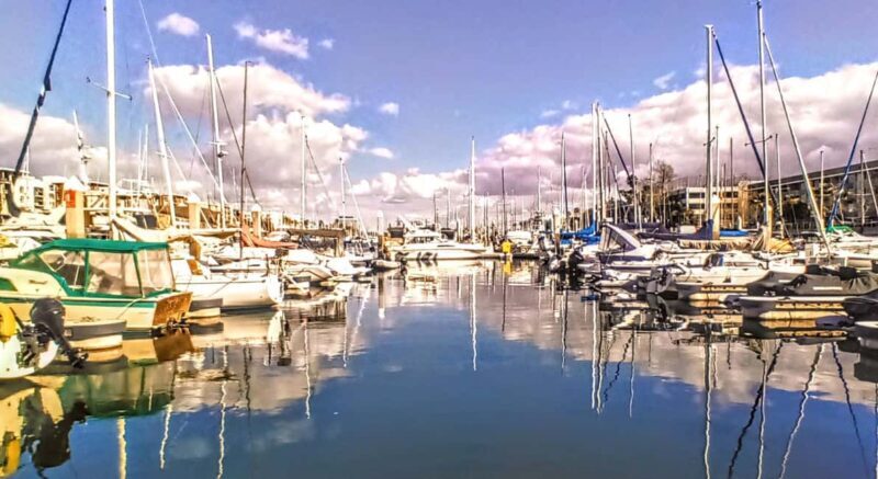 Los Angeles #1: Luxury Boat Cruise-Wine, Cheese & Sea Lions - Final Thoughts