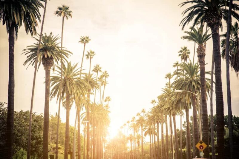 Los Angeles 4-Hour Private Tour: Beverly Hills & More - Exploring Los Angeles in Comfort and Style