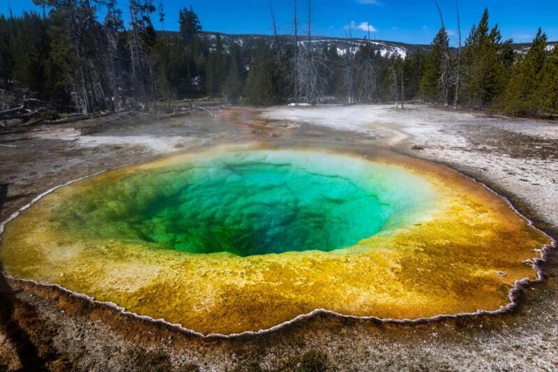 Los Angeles: 8-Day Antelope and Yellowstone Tour - Price and Value