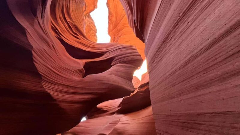 Los Angeles: 8-Day Antelope and Yellowstone Tour - Who Should Consider This Tour?