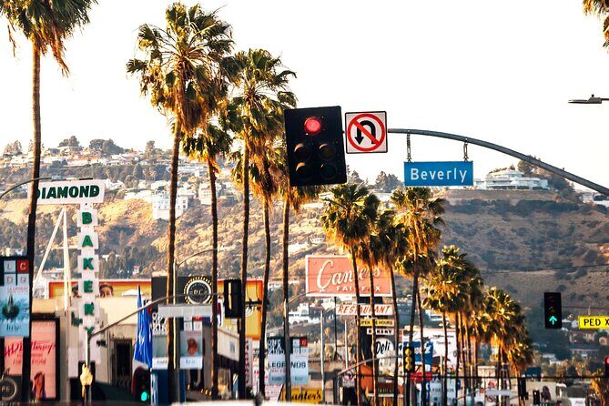 Los Angeles Street Art Private Walking Tour With A Guide - Discovering Los Angeles’ Street Art: What to Expect  