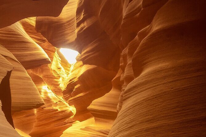 Los Angeles to Las Vegas Yellowstone National Park 7 Day Tour - Who Is This Tour Best For?