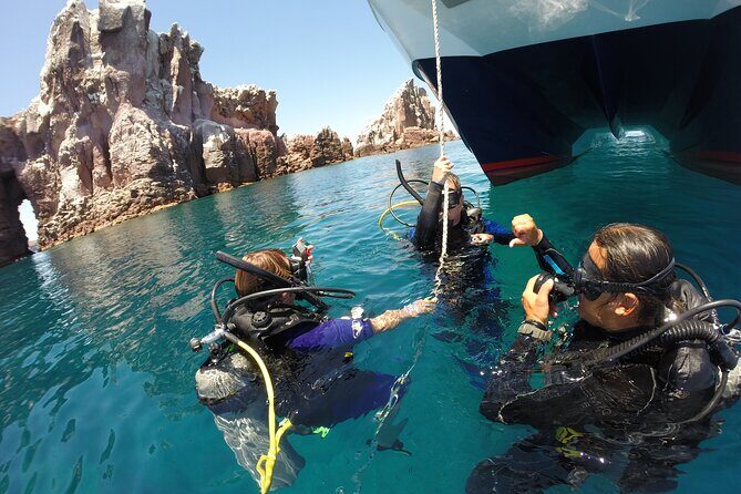 Los Cabos 2 tanks dive to The Corridor (Certified divers) - Who Is This Tour Best For?