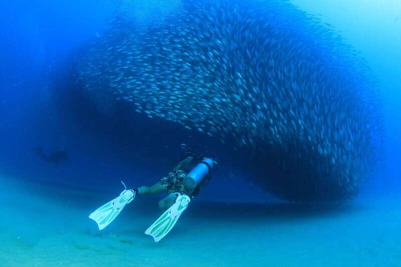 Los Cabos 3-Hour Certified Scuba Diving Tour - Considerations and Tips