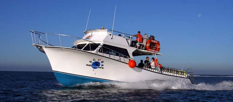 Los Cabos: 3-Hour Introductory Scuba Diving Adventure - Introduction to the Experience