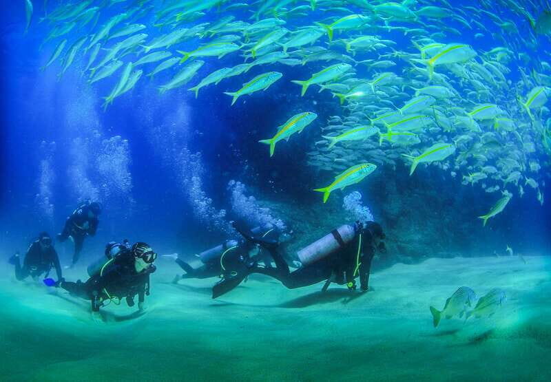 Los Cabos: 3-Hour Introductory Scuba Diving Adventure - What You Can Expect During the Tour