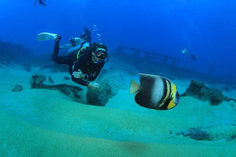 Los Cabos: 3-Hour Introductory Scuba Diving Adventure - The Experience for Different Types of Travelers