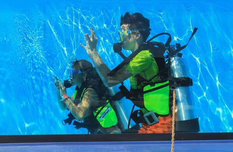 Los Cabos: 3-Hour Introductory Scuba Diving Adventure - Cost and Value